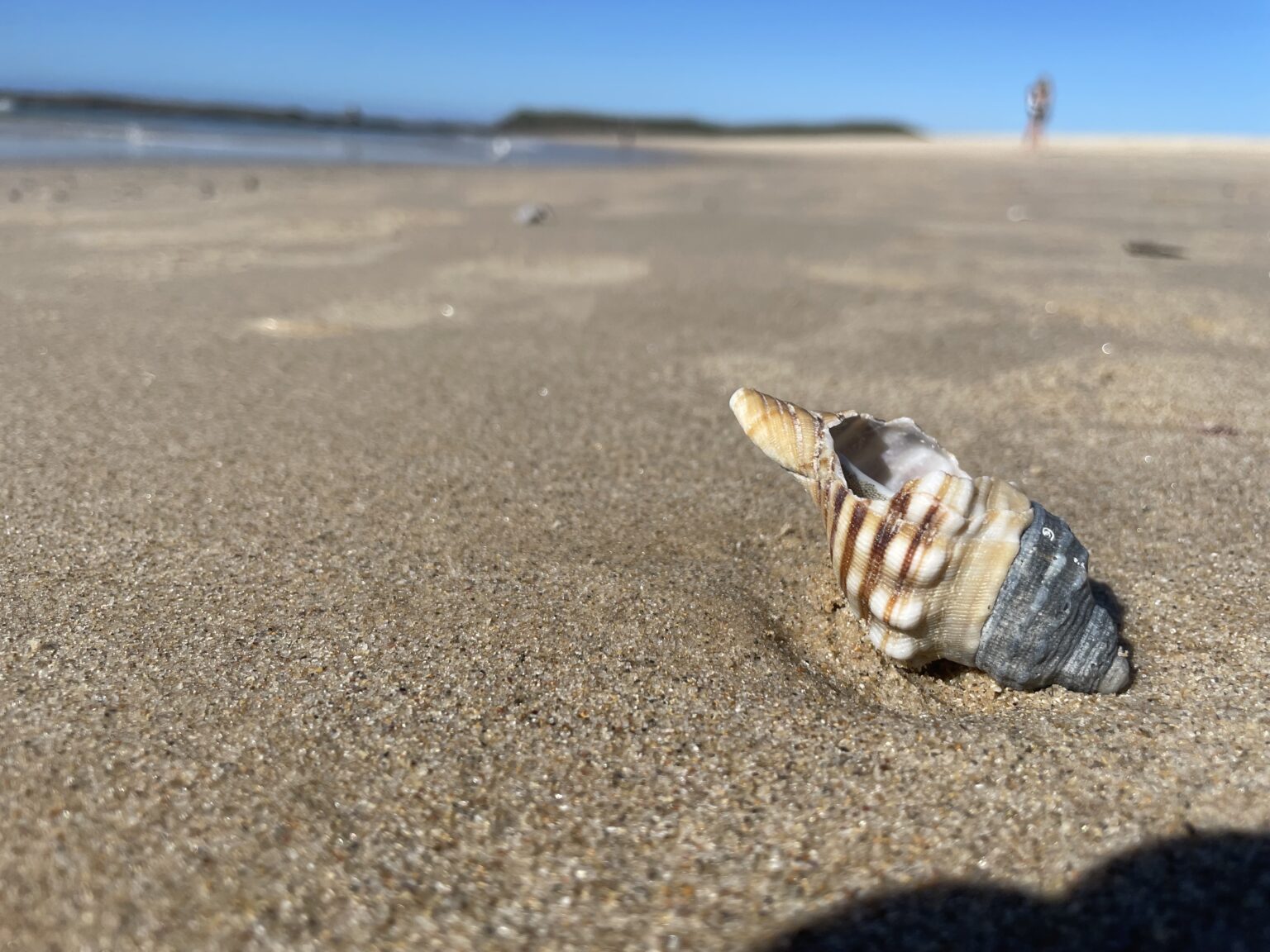 Exploring The Wonders Of Moonee Beach Trail In Munmorah State ...