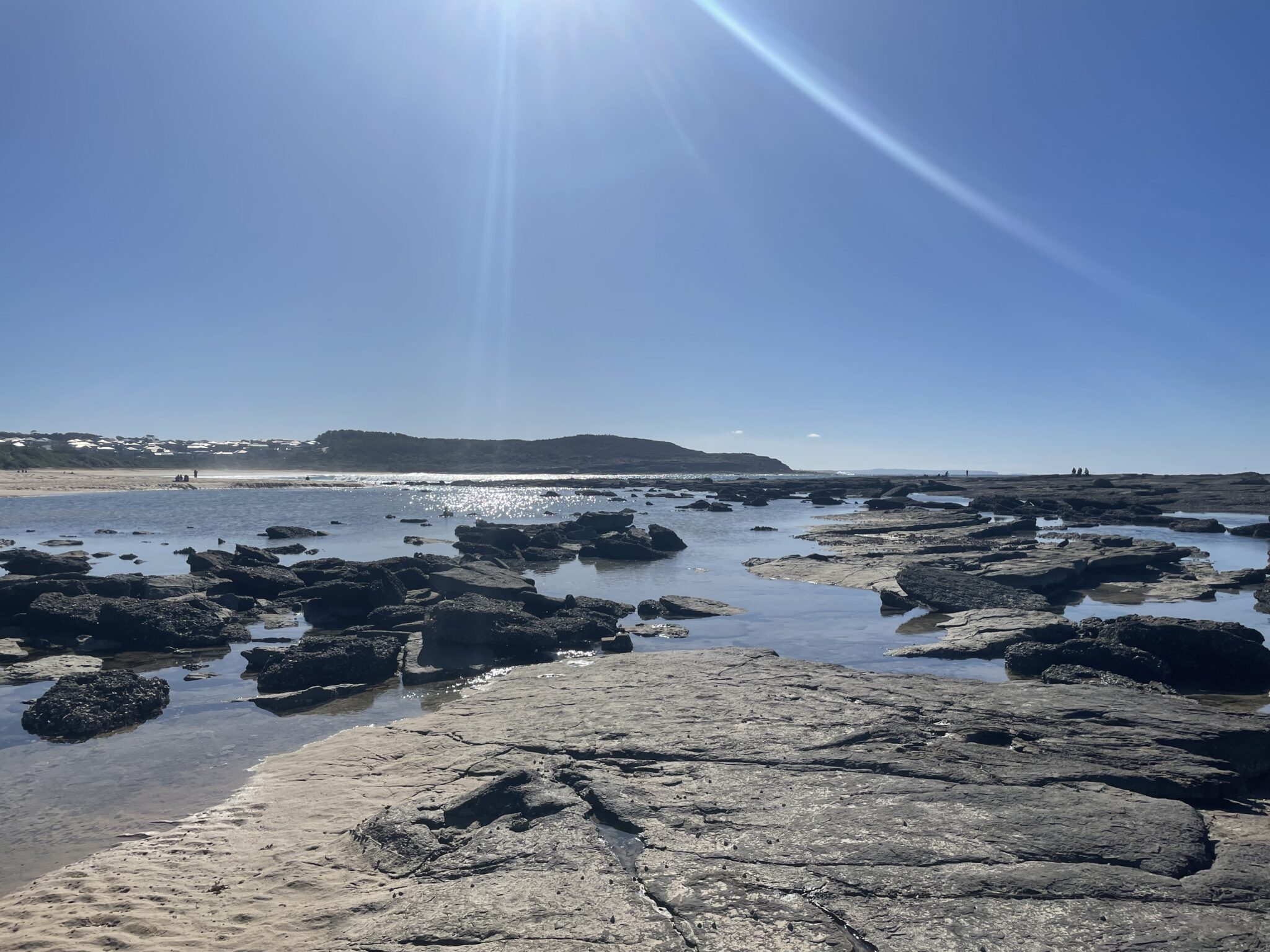 Exploring The Wonders Of Moonee Beach Trail In Munmorah State ...